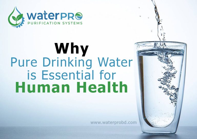 Why Pure Drinking Water is Essential for Human Health – Waterpro